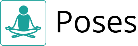 Sequence Wiz Help – Electronic Health Records System and Sequence Builder for Yoga Teachers and ...